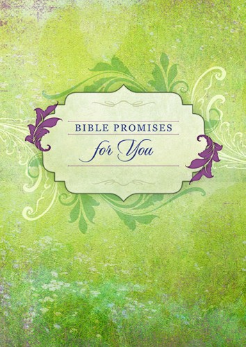 bible-promises-for-you - BroadStreet Publishing®